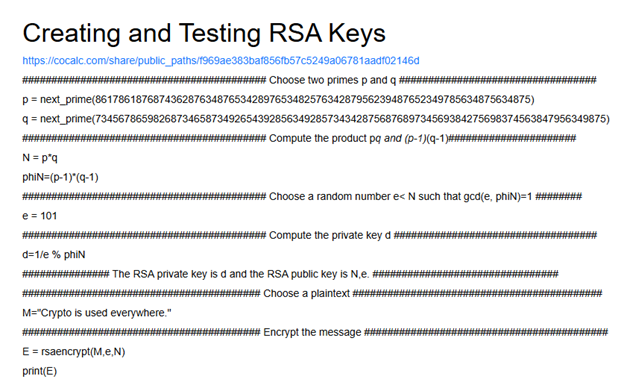 Grace Lytle - Portfolio